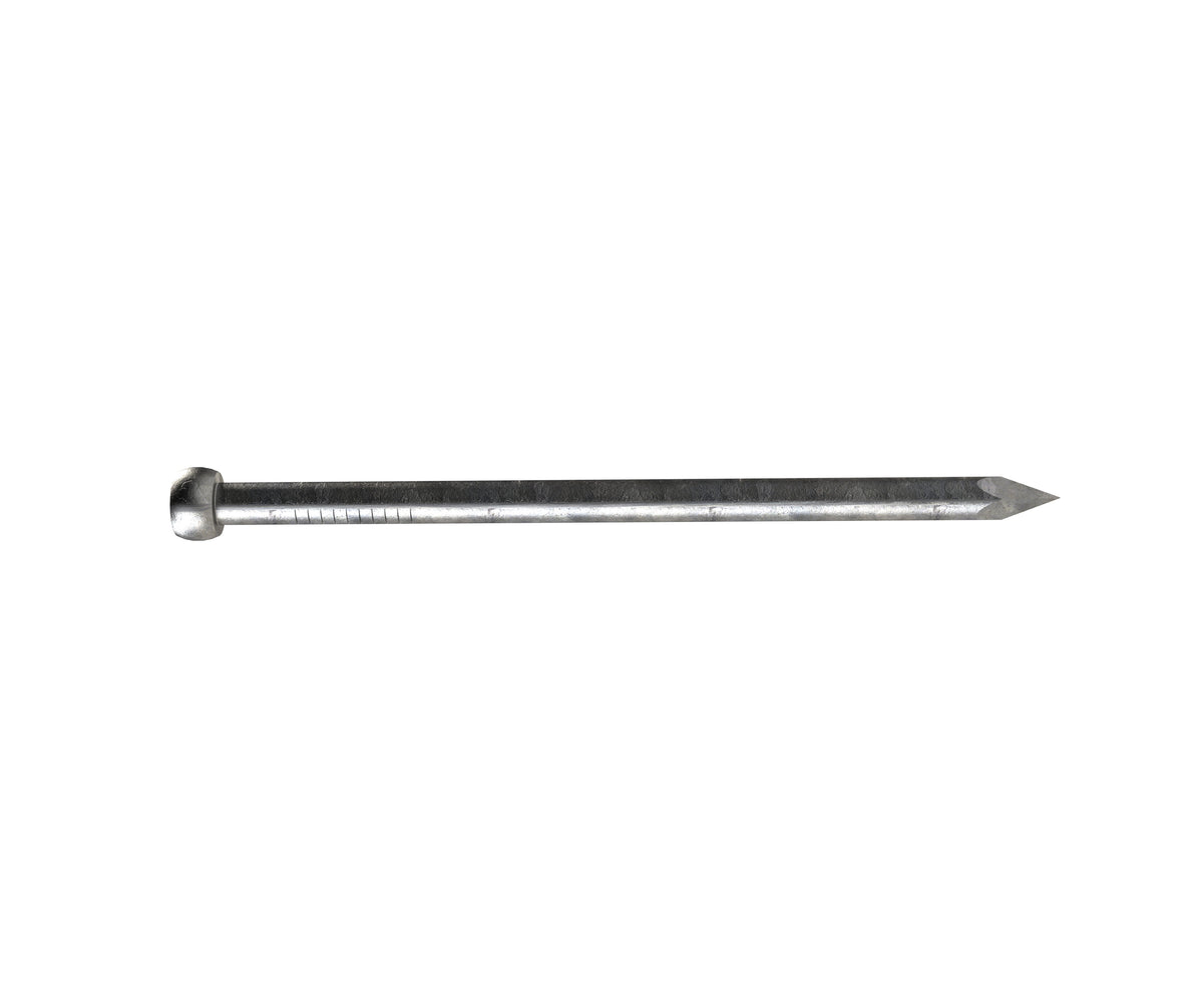 Bullet Head Nail Galv 100 x 4.5mm
